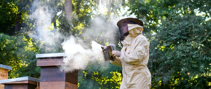 Customer stories | Nectar Technologies